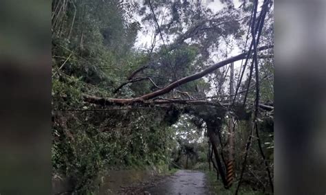 大雨夜襲桃園山區 復興區傳樹倒坍方、停電 — Titv News 原視新聞網