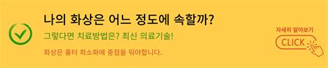 화상 실비보험 진단비 범위 1도 2도 3도 표재성 심재성 총정리 Winfonews