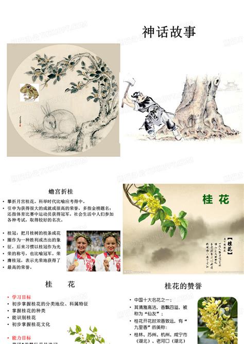 桂花PPT模板下载 编号lpxxobep 熊猫办公