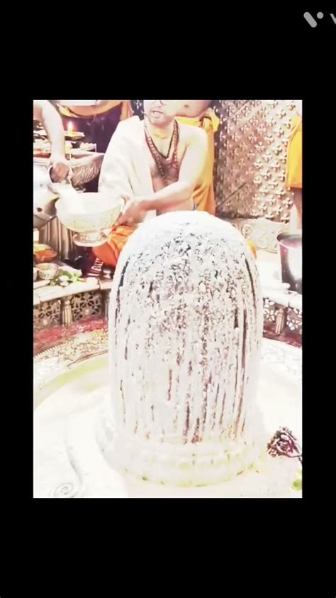 ॐनमःशिवाय शिवशक्ति ॐ नमः पार्वती पतये हर हर महादेव उज्जैन 🙏🌺🫶🔱🕉️ ️