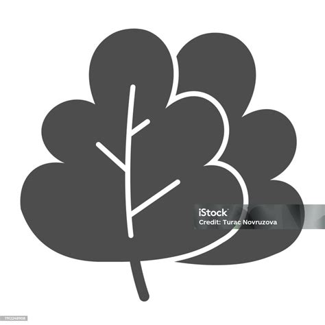 兩棵樹留下實心圖示在白色上隔離的橡樹葉向量插圖自然字形風格設計專為網頁和應用而設計向量圖形及更多10號圖片 10號 一個物體 互聯網