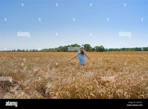 Girl In Field With Golden Ears Of Wheat On A Hot Summer Day Blue Sky