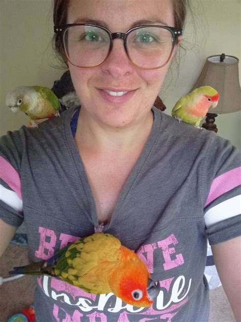 Cockatiel Lifespan In Captivity Complete Guide Pet Newb