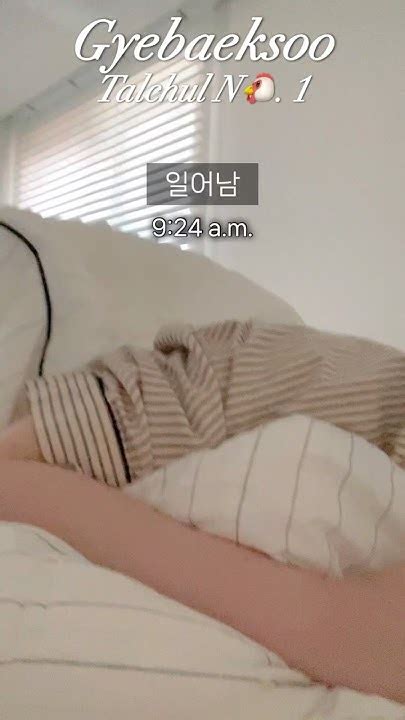 계백수탈출 No1 계백수의 하루‘ 브이로그 Vlog 백수일상 취준생 취준브이로그 Youtube