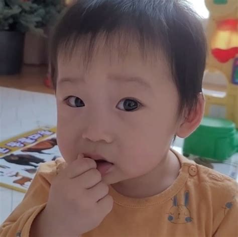 쌍둥이 父 이천수 내 유전자에서 쌍꺼풀 나와격한 환호 ★해시태그 나무뉴스