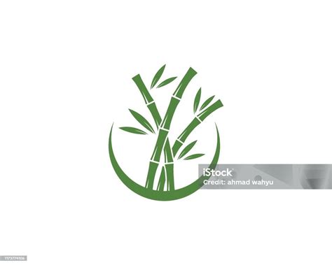 대나무 로고 벡터 나무에 대한 스톡 벡터 아트 및 기타 이미지 나무 나뭇가지 동쪽 Istock
