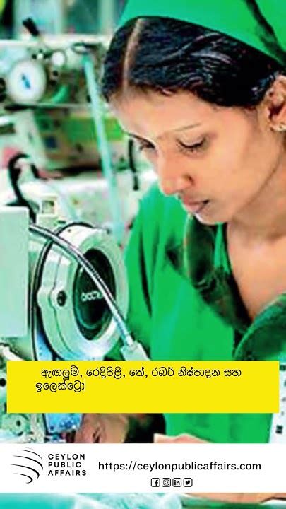 2024 පළමු මාස අට තුළ ශ්‍රී ලංකාවේ අපනයන ආදායම ඩොලර් බිලියන 10 ඉක්මවා ඇත Youtube