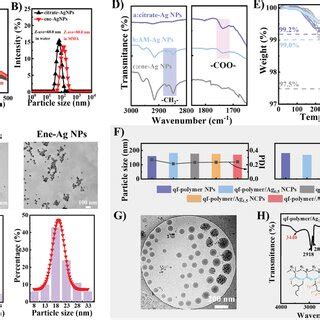 A UVvis Spectra Of CitrateAg NPs And EneAg NPs B Hydrodynamic