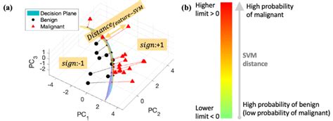 SVM Distance And Color Map A An Example SVM Hyperplane With Measured Download Scientific