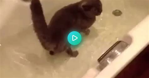 Obligatory 14th Favourite And The Date Also Reminded Me How Much