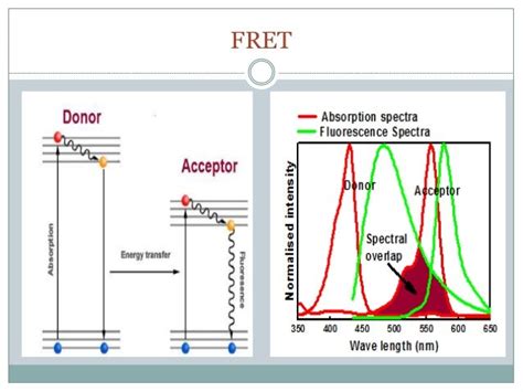 Fluorescenceforster Resonance Energy Transfer
