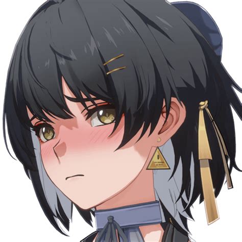 Wuwa Memes
