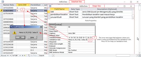 Memahami Properti Validation Rule Dan Validation Text Pada Tabel Di