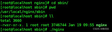 Nginx启动命令 Csdn博客