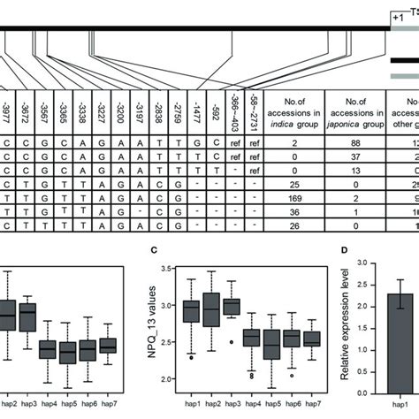 The Means And Standard Deviation Of Npq Values In Different Groups And