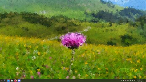 [exclusive] Tuxedo Makes Ubuntu Based Tuxedo Os Available For All