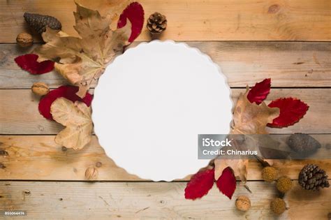 라운드가가 단풍 빨간색 노란색 오렌지 메이플 비행기 나무와 화이트 프레임 단풍 소나무 콘 호두 나무 배경 자연 배경 가을에 대한 스톡 사진 및 기타 이미지 Istock