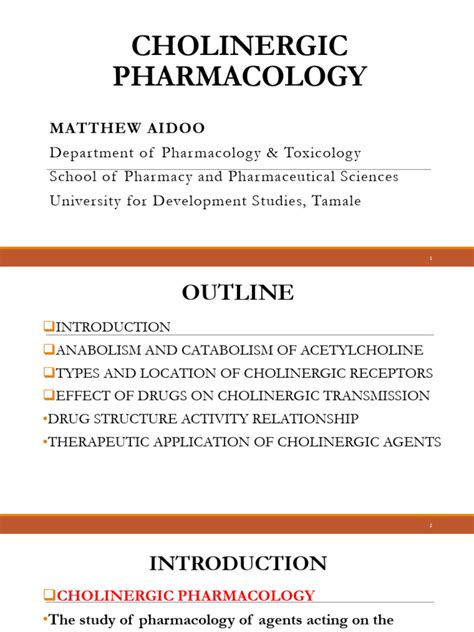 Cholinergic System Current Pdf Acetylcholine Neuromuscular Junction