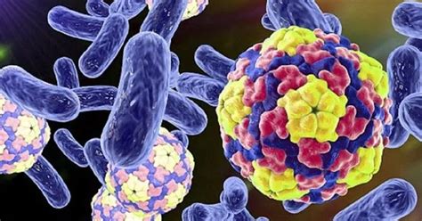 Sinh Học 10 Bài 21 Khái Niệm Cấu Tạo Và Chu Trình Nhân Lên Của Virus