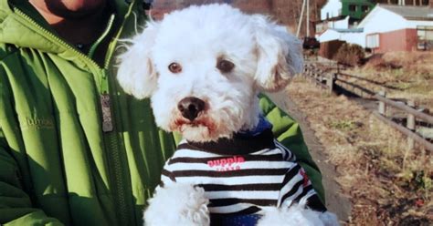 ペットロスで「何を食べても味がわからない」 まだ犬は飼えないけど、いつかまた 「犬や猫ともっと幸せに」をコンセプトにしたwebメディア