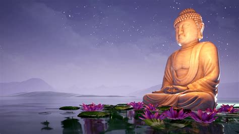 Música Relaxante Estudar Ler Meditar Concentração Youtube