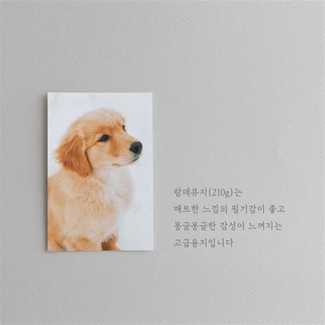 기억에 남는 퇴사 인사말 문구작별인사말 퇴사편지 멘트 모음 네이버 블로그