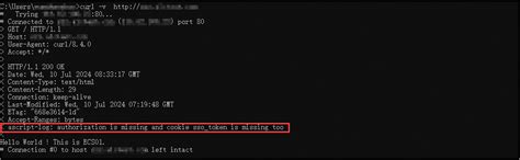 Use Ascript To Customize Fine Grained Traffic Management Server Load