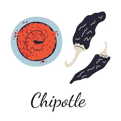 Premium Vector Vector Illustration Of Chipotle Chili Powder Hot Chili
