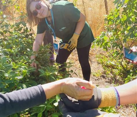 Éxito en los Trabajos Voluntarios de Verano 2024 Tomasinos de Santiago