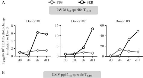 Staphylococcal Enterotoxin B Seb Stimulation Of Human Peripheral