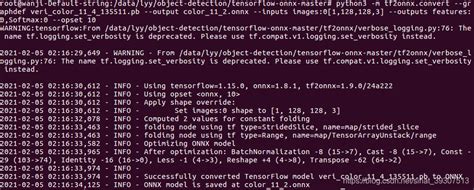 Tensorflow Trt2onnx：pb文件转onnxonnx Stridedslice Csdn博客