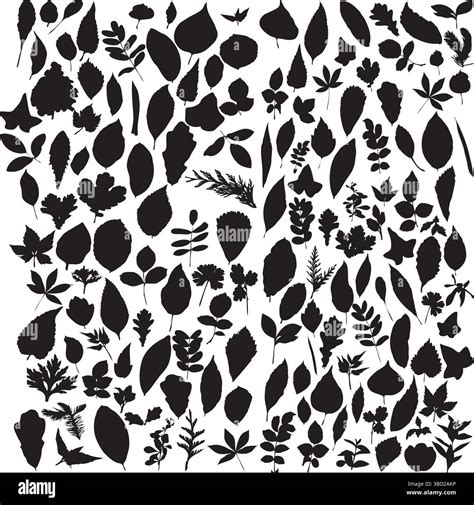 Leaf Themed Vector Vectors Stock Vector Images Alamy