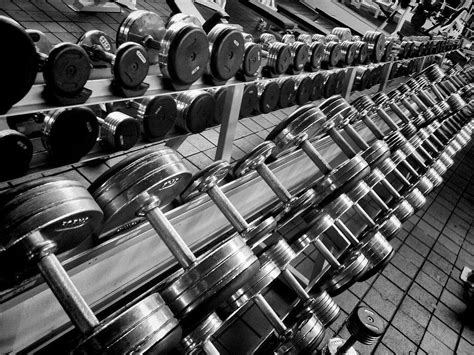 Gym Lover Wallpapers Top Free Gym Lover Backgrounds Wallpaperaccess