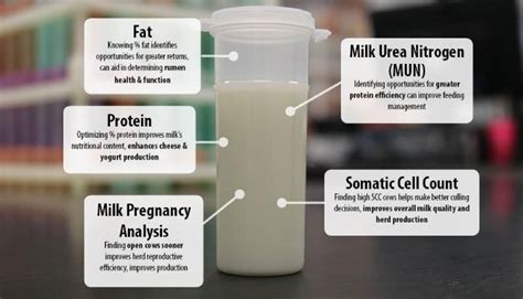 Milk Testing Services Dairy One