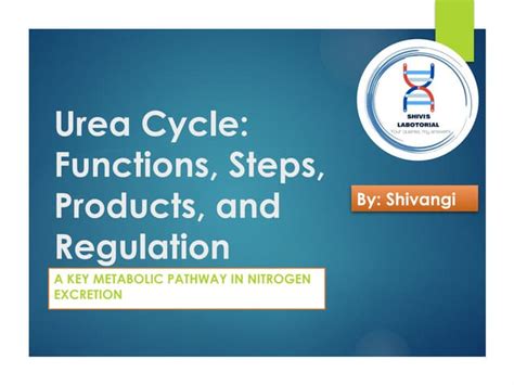 Ureacyclepresentationpptx