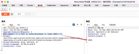 bash shellshock 破壳漏洞（cve 2014 6271） 知乎