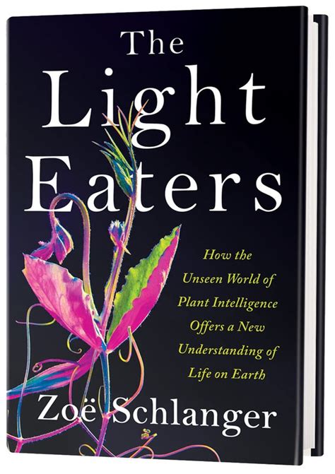 How Plant Intelligence Can Soothe Climate Anxiety Scientific American