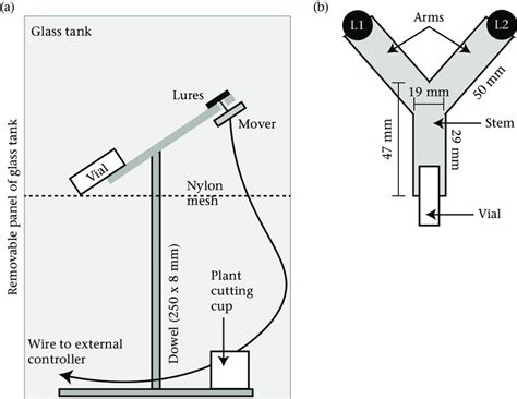 Apparatus Used In Lure Prey Choice Testing Of E Culicivora Juveniles