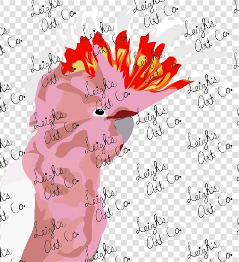 Major Mitchells Cockatoo Digital Download Vintage Diy Crafts Clipart