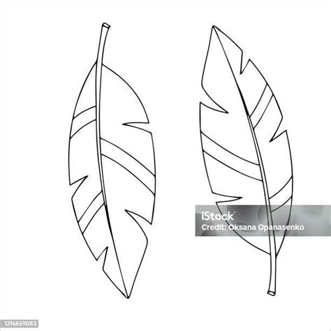 植物のシンプルな落書き木から葉白い背景に分離されたベクターイラスト手描き いたずら書きのベクターアート素材や画像を多数ご用意
