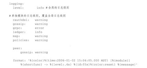 Hyperledger Fabric核心配置文件（1）fabric服务器核心 Csdn博客