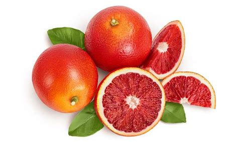 Queima de gordura e mais conheça os benefícios da laranja moro