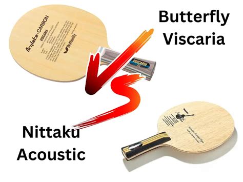 Nittaku Acoustic Review--Ma Long Used It Before! | 2025
