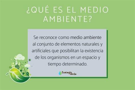 Opiniones Sobre El Medio Ambiente Ejemplos Y Definiciones