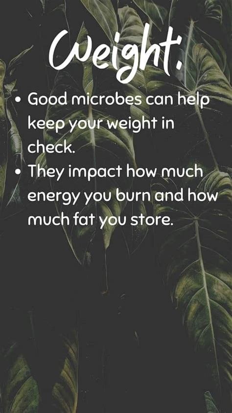 How To Improve Your Digestive System Artofit