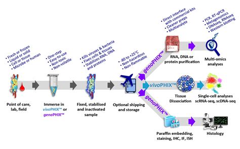 Using Rnassist To Protect Rna