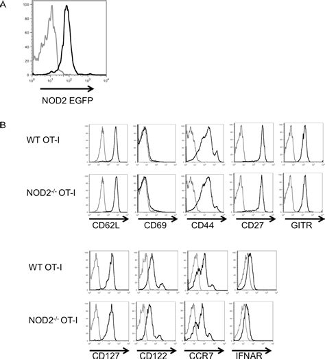 Figure 1 From T Cell Intrinsic Nod2 Is Dispensable For Cd8 T Cell