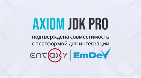 Совместимость интеграционной платформы entaxy и среды разработки и