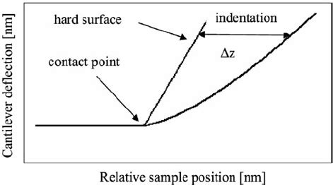 Scheme Of Elasticity Measurements Download Scientific Diagram