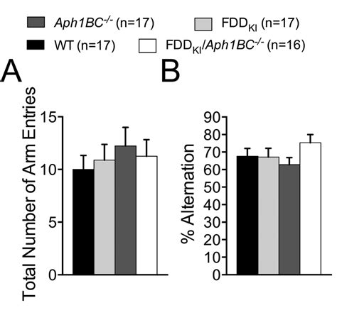 Y Maze Spontaneous Alternation Test At 18 19 Months Of Age Data Are Download Scientific